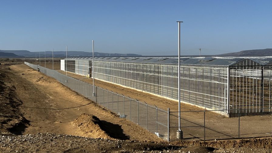 New Mexico Cannabis Greenhouse Facility Nears Completion - Greenhouse ...