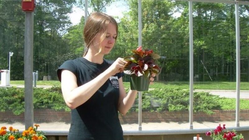 Meet American Floral Endowment’s New Research Coordinator - Greenhouse ...