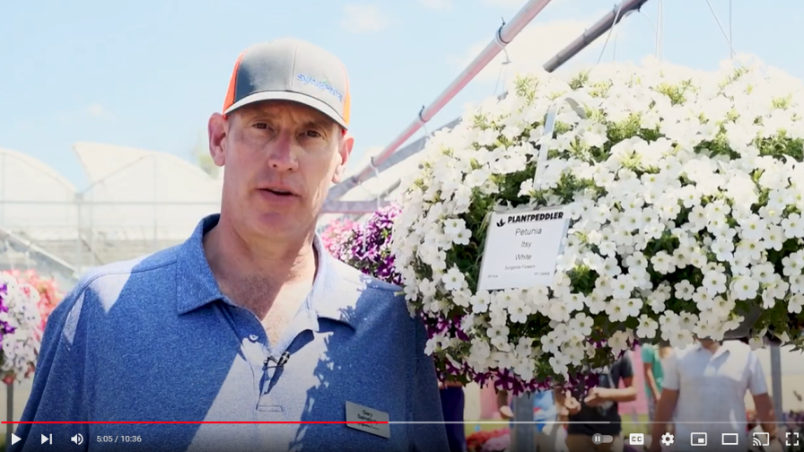 Video of the Week: Plantpeddler Variety Day 2022 Highlights ...