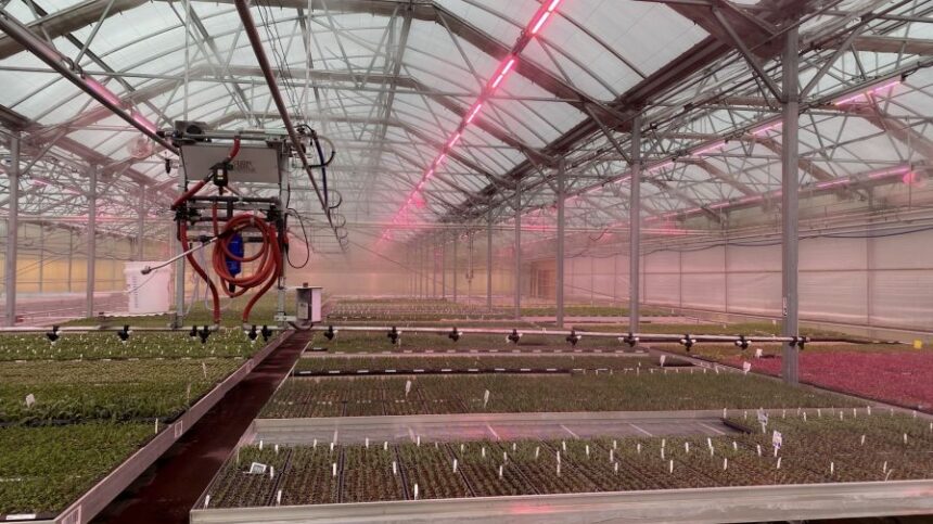 Smith Gardens Assumes Operations of Skagit Horticulture - Greenhouse Grower