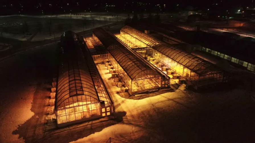 How One Research Model Predicts Greenhouse Energy Use and Cost ...