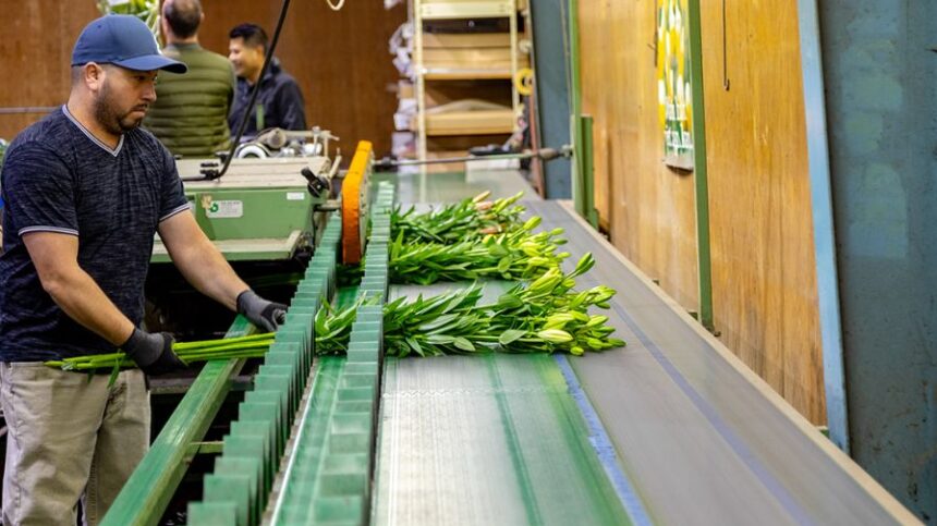 How to Audit the Safety of Your Greenhouse Facility and Business ...