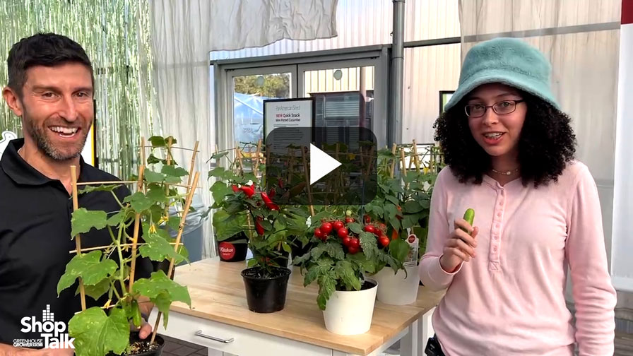 An Update on PanAmerican Seed’s Kitchen Minis Collection (Video ...