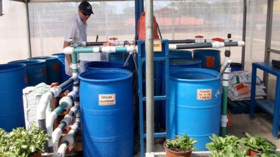 Tips for Ensuring Proper Fertilizer Concentration for Greenhouse Crops ...