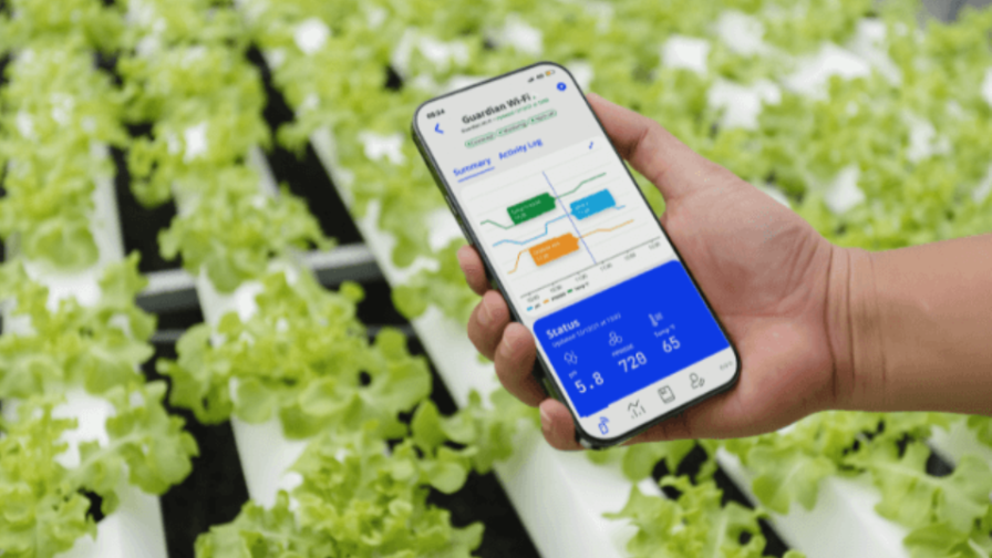 Bluelab Announces Update to its Guardian Monitor System - Greenhouse Grower
