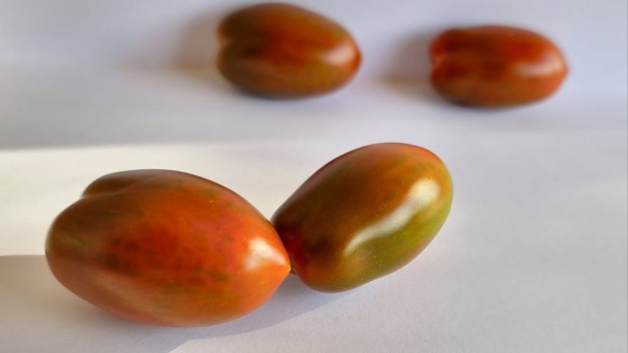 How One Tomato Company Is Targeting Taste - Greenhouse Grower