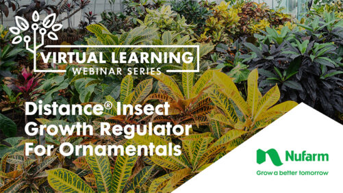 Nufarm Virtual Learning Module: Distance Insect Growth Regulator ...
