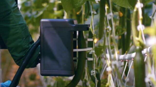 Robotic Cucumber Harvester Designed to Help Growers Save on Labor Costs ...