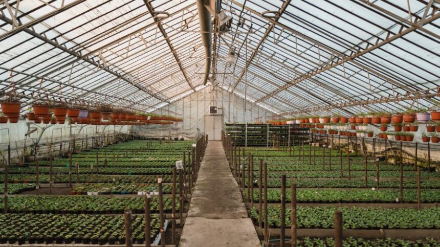 Greenhouse Short Course Set for Sept. 13 at Reiman Gardens - Greenhouse ...