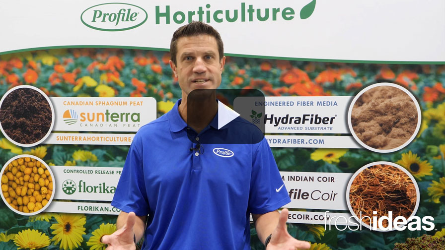 A Closer Look at 10 of the Worst Greenhouse Plant Disease Problems ...