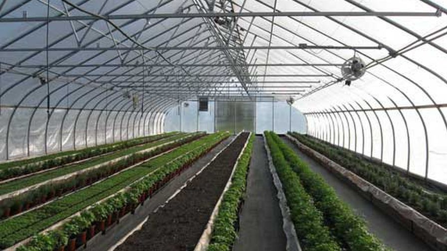 How Your Growing Media May Affect Water and Nutrient Management ...