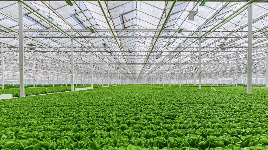 Gotham Greens Expands Into Southeast With New Georgia Greenhouse ...