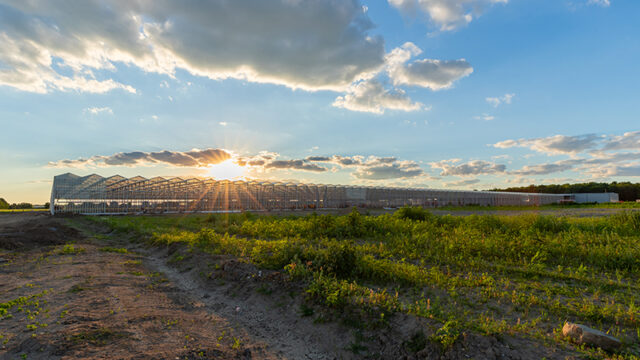 Greenhouse structures built your way! - Greenhouse Grower