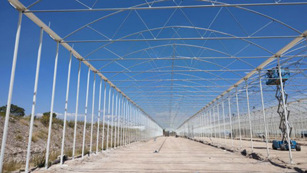 Double-Layered, Semi-Closed Greenhouse - Greenhouse Grower