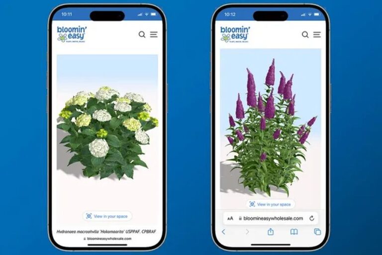 Bloomin’ Easy Gives Plant Lovers Augmented Reality Experience ...