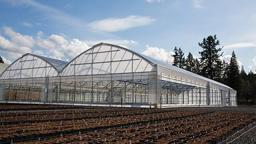 Arch Commercial Greenhouse Series - Greenhouse Grower