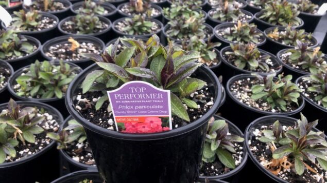 Helping Consumers Find the Best Native Plants at Retail - Greenhouse Grower