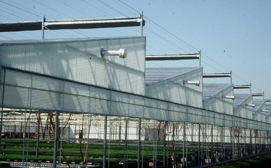 Federal Greenhouse - Greenhouse Grower