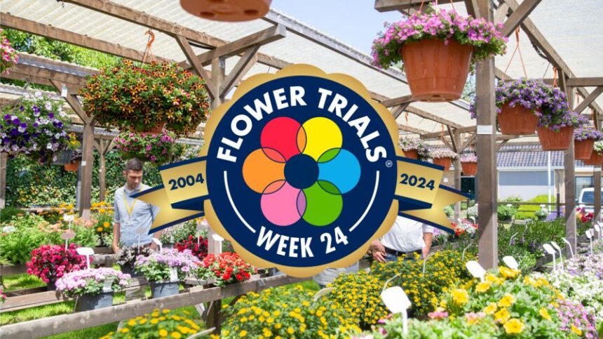 FlowerTrials 2024 to Celebrate 20 Years of Plant Breeding Innovations