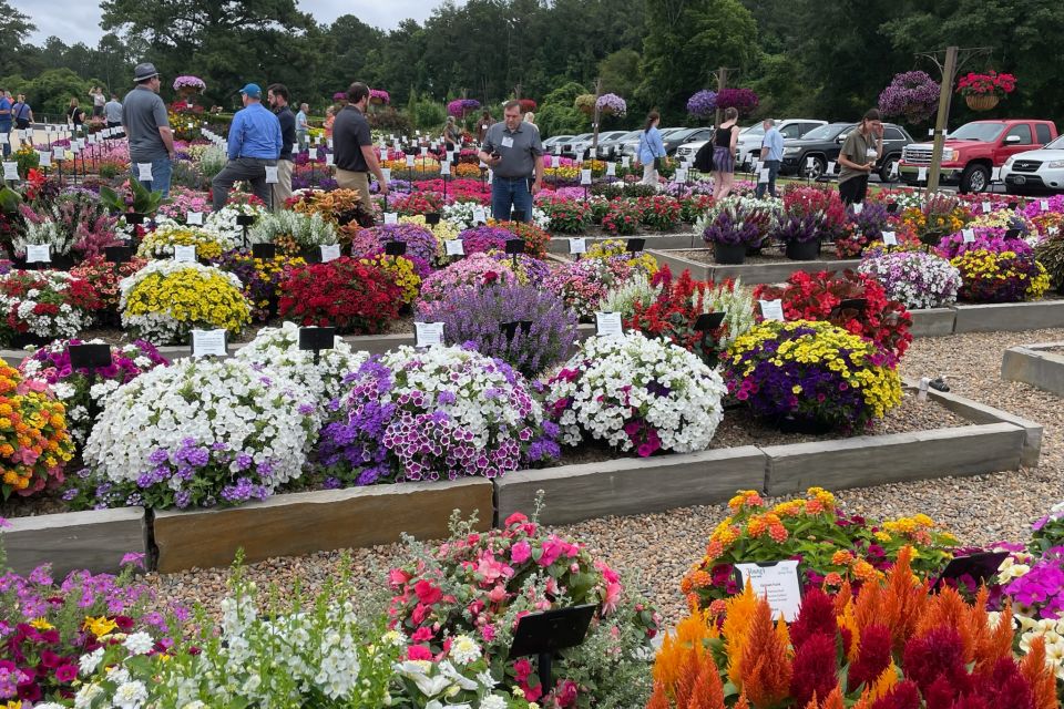 Cultivate’24 to Offer a Review of National Annual and Perennial Trials ...