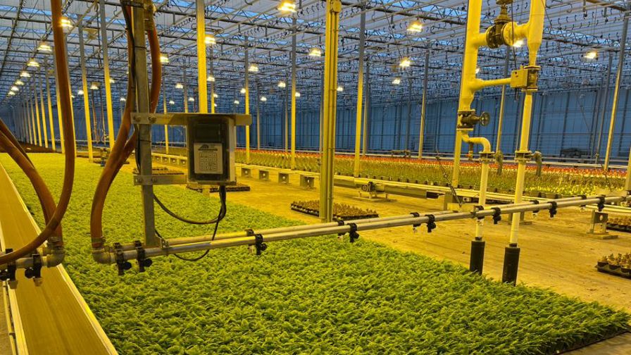 Greenhouse Boom Irrigation Systems REGA 3 CONIC SYSTEMCONIC SYSTEM