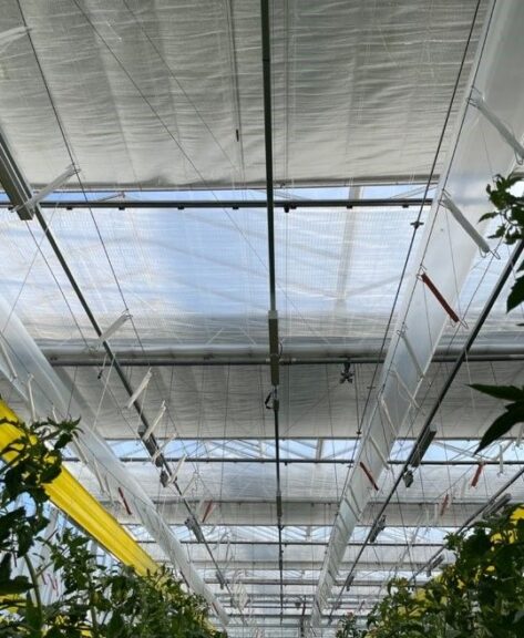 ENERGYperfect Screen - Greenhouse Grower