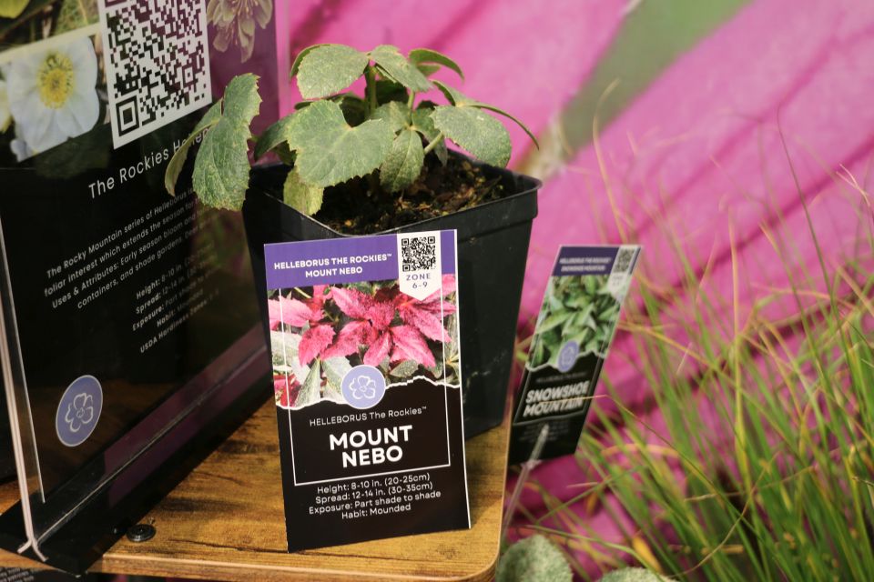 Grower-Retailers Pick Their Favorites From the Cultivate’24 Trade Show ...