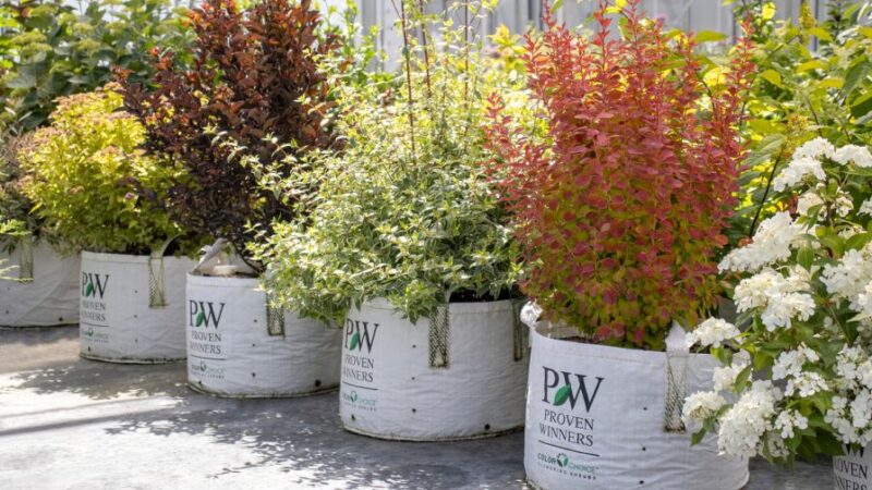 Proven Winners ColorChoice Debuts New Sustainable Plant Package