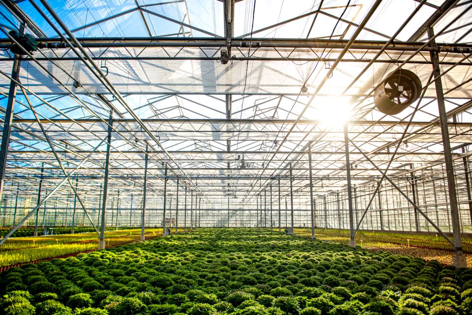 FR Sun Shading Screen - Greenhouse Grower