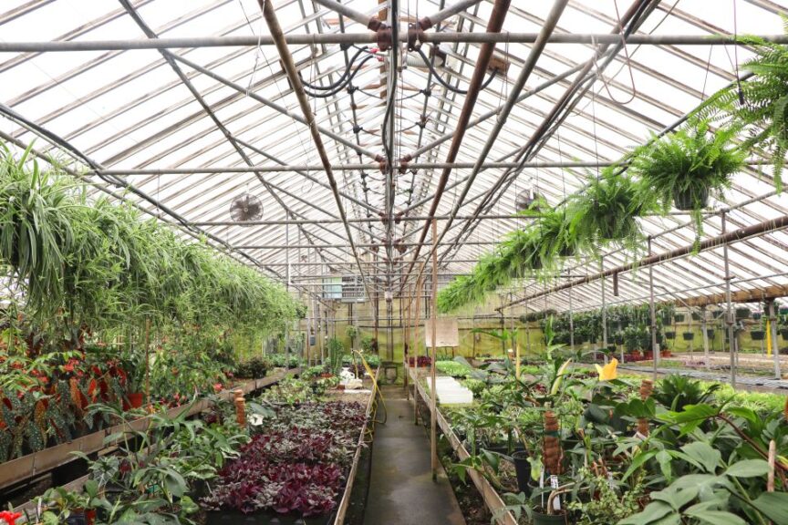 A Diverse Collection of New and Exciting Exotic Plants