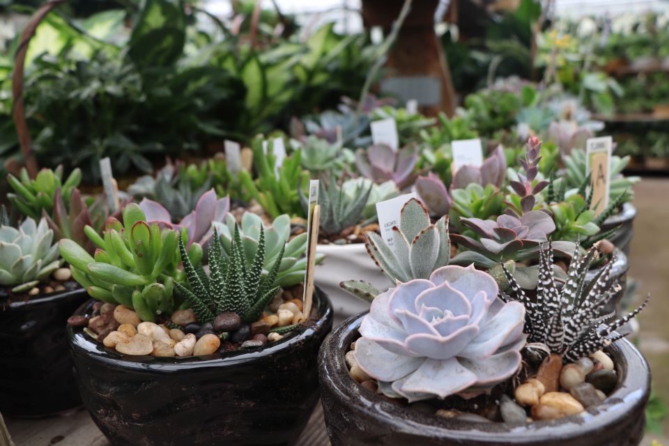 A Diverse Collection of New and Exciting Exotic Plants