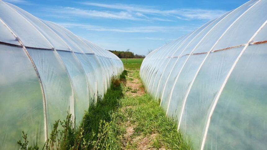 How to Achieve Optimal Results with Your Greenhouse Poly Roof Replacement