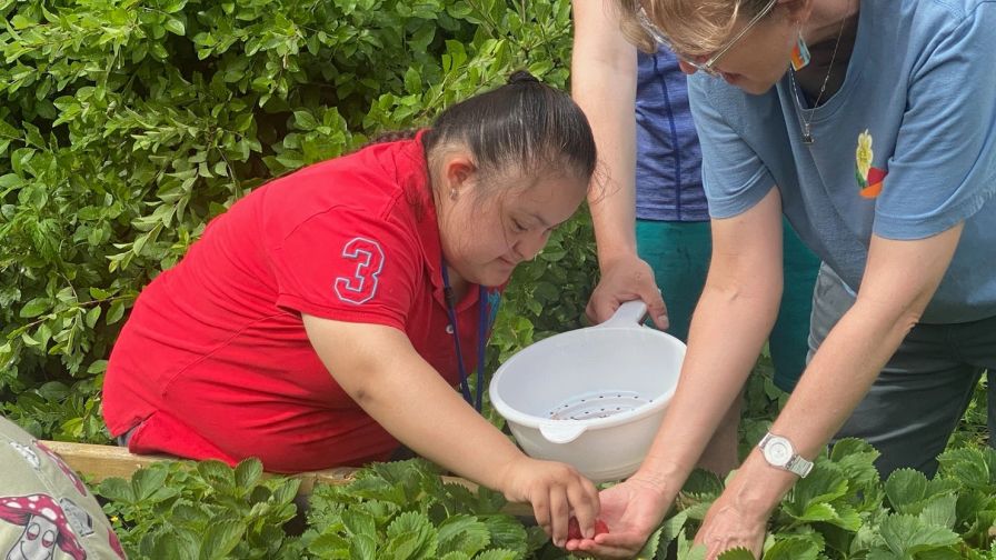5 Winners Selected for the 2024 Therapeutic Garden Grant Program