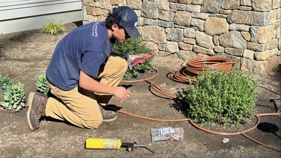 Horticultural Research Institute Awards New England-Based Scholarship