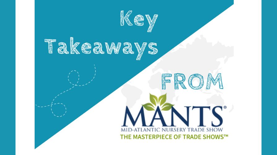 How Mastronardi Produce Became Pioneers of High-Tech Vegetable Growing ...