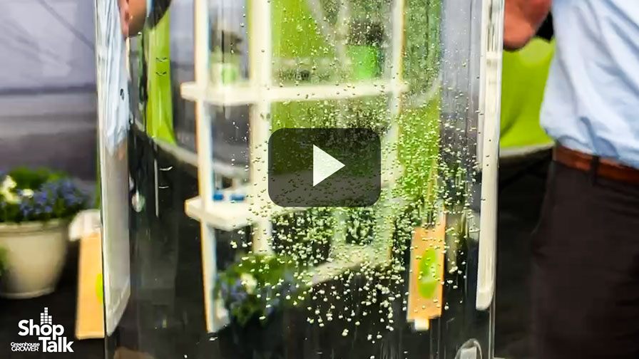 Videos from CAST 2025: Understanding Benary's Advanced Seed Technology