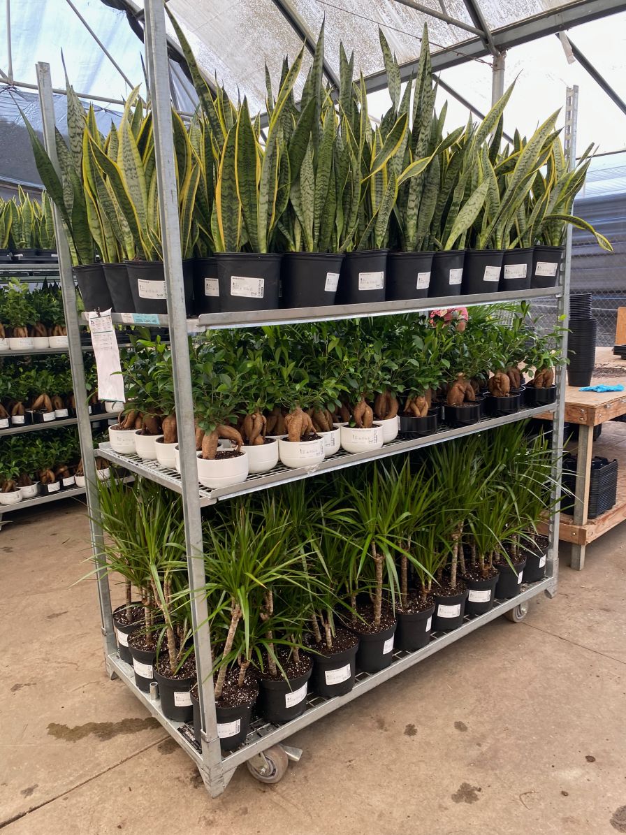 Addressing Common Trucking Challenges in the Greenhouse Industry