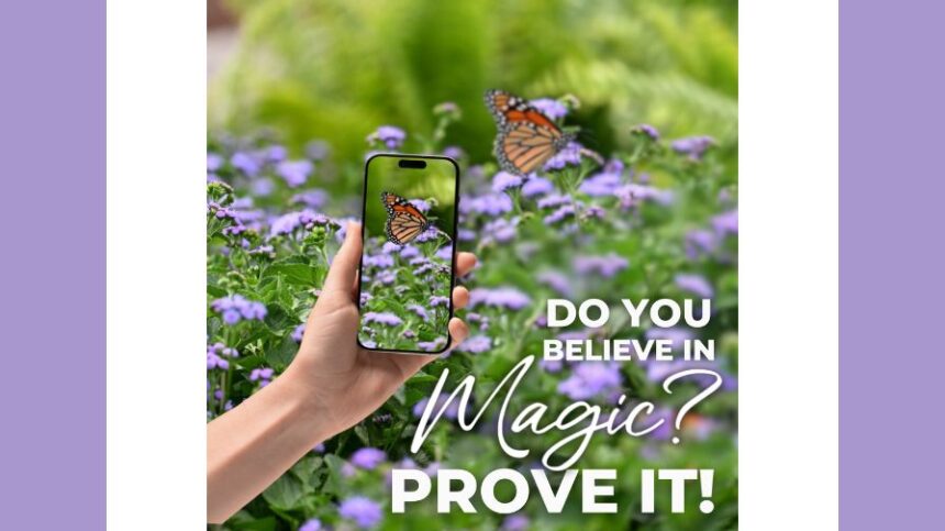 Ball FloraPlant Launches Photo Contest for Ageratum 'Monarch Magic'