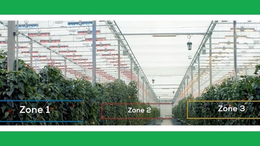 Improving Yield, Quality, and Efficiency with Multi-Zone Greenhouse ...
