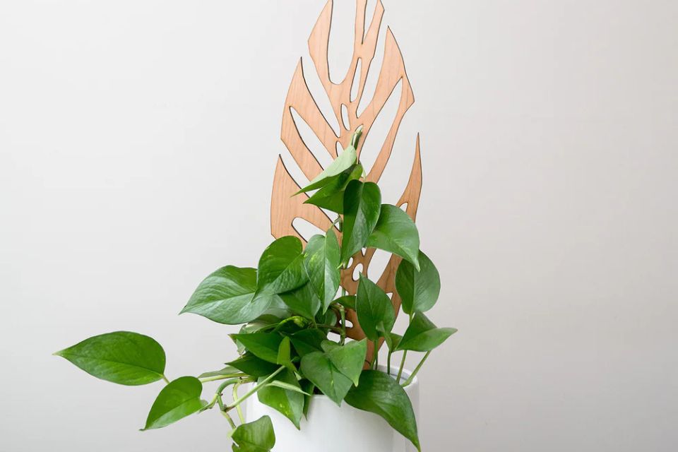 Wooden Plant Supports