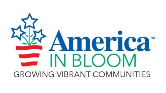 Results Are In: The 2025 America in Bloom National Award Winners