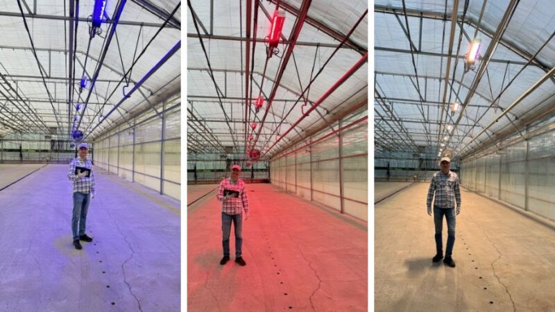 Lessons Learned in Dynamic Lighting with Pleasant View Gardens