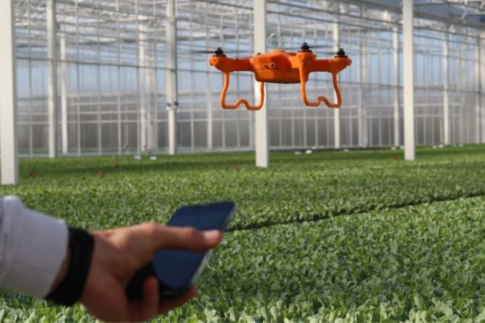 Corvus Drones