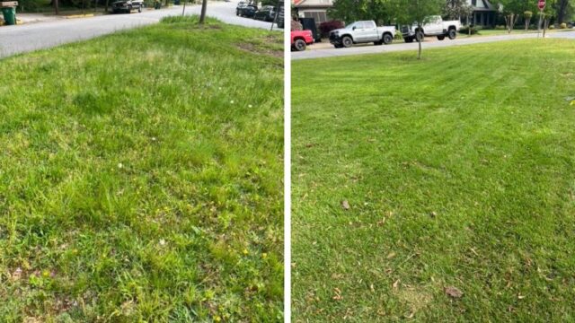 How We Fought the Law and Improved Our Local Green Spaces