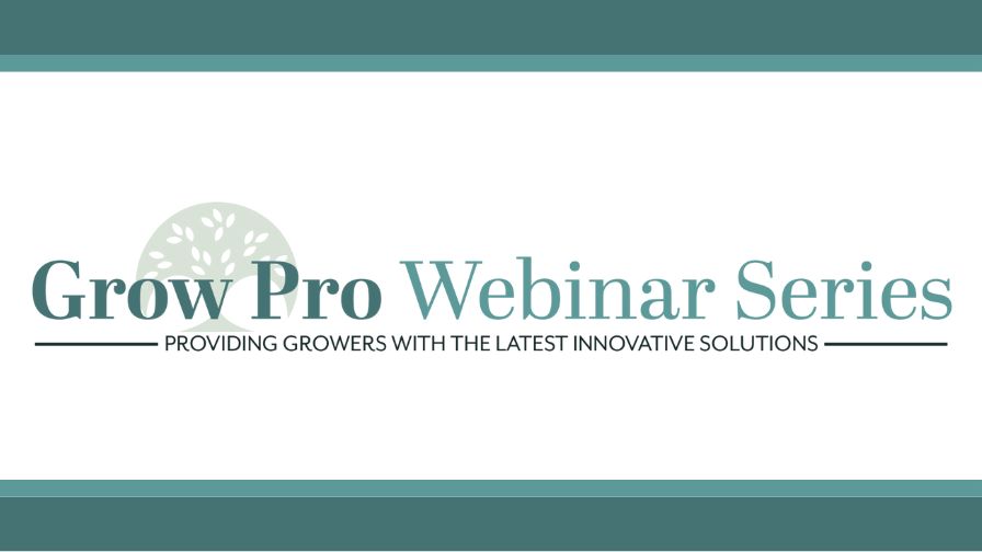 Watch the Full Lineup of American Floral Endowment’s 2025 Grow Pro Webinars