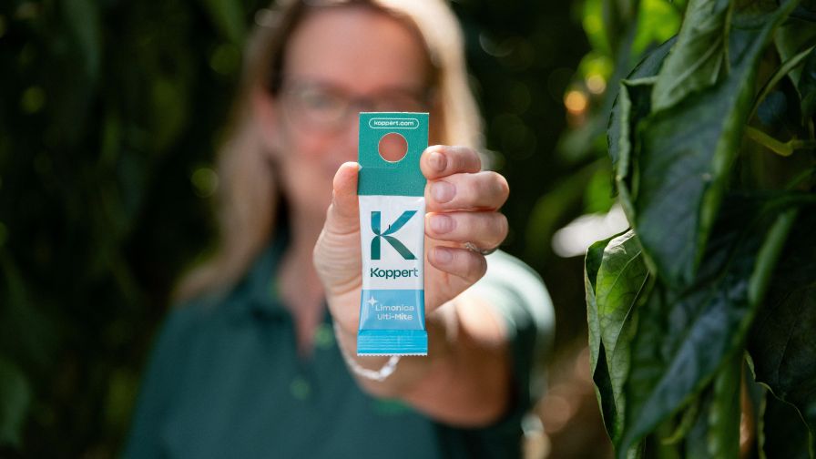 Koppert Introduces Limonica Ulti-Mite for Thrips and Whitefly Control