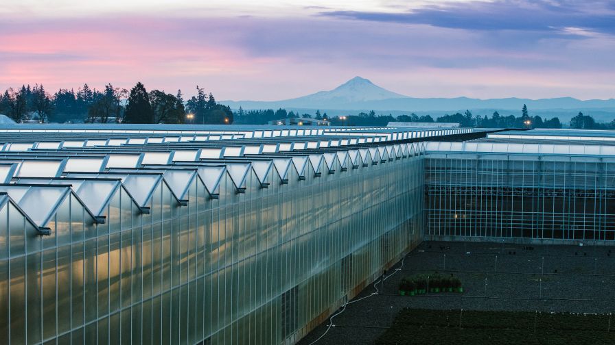 Breaking: Smith Gardens Acquired by Hoffmann Family of Companies ...